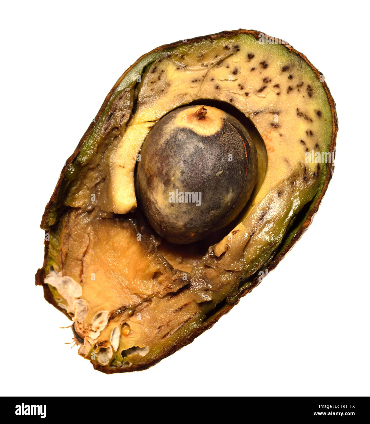 Rotting avocado Cut Out Stock Images & Pictures - Alamy