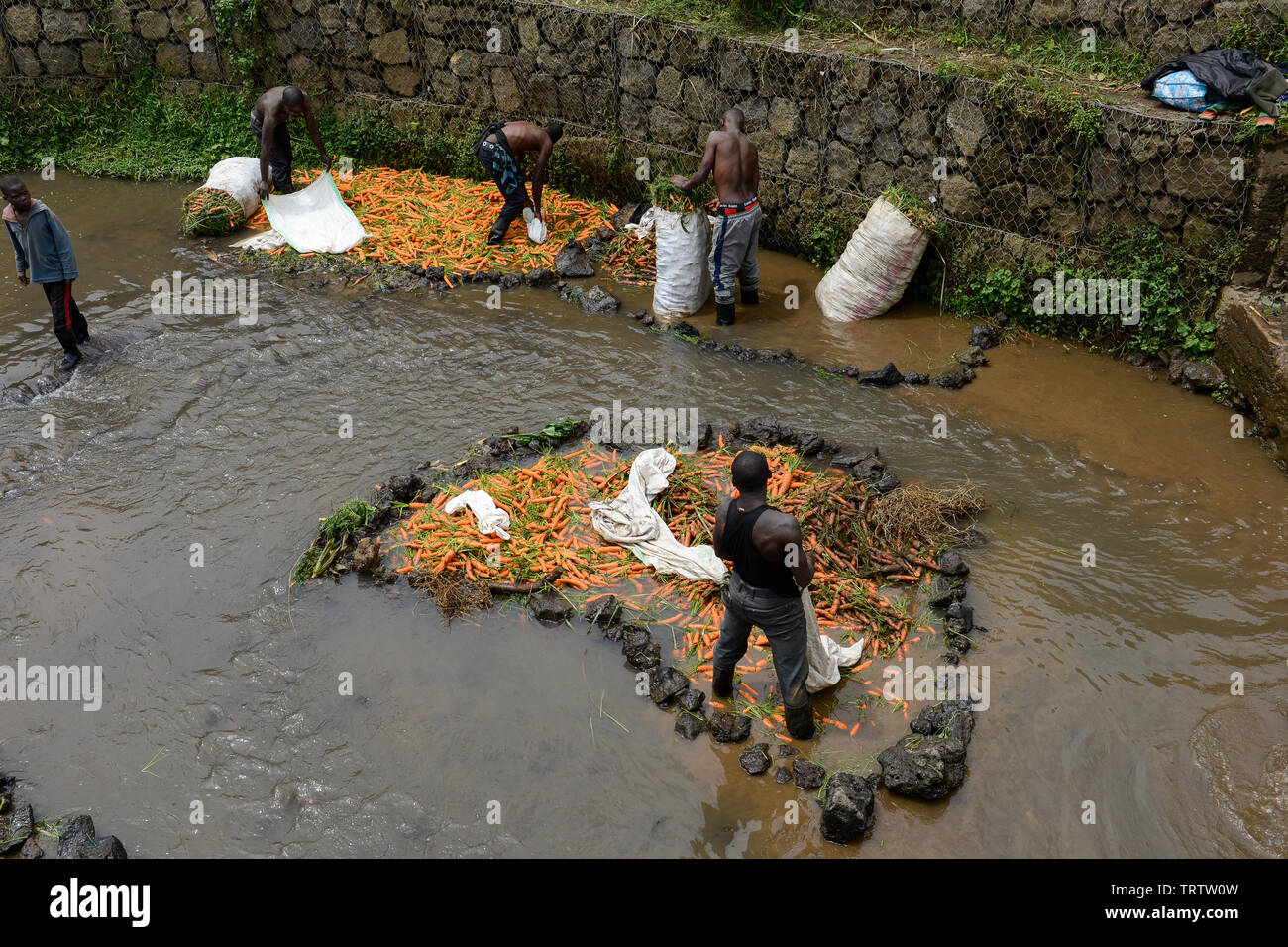 Carrot river map hi-res stock photography and images - Alamy