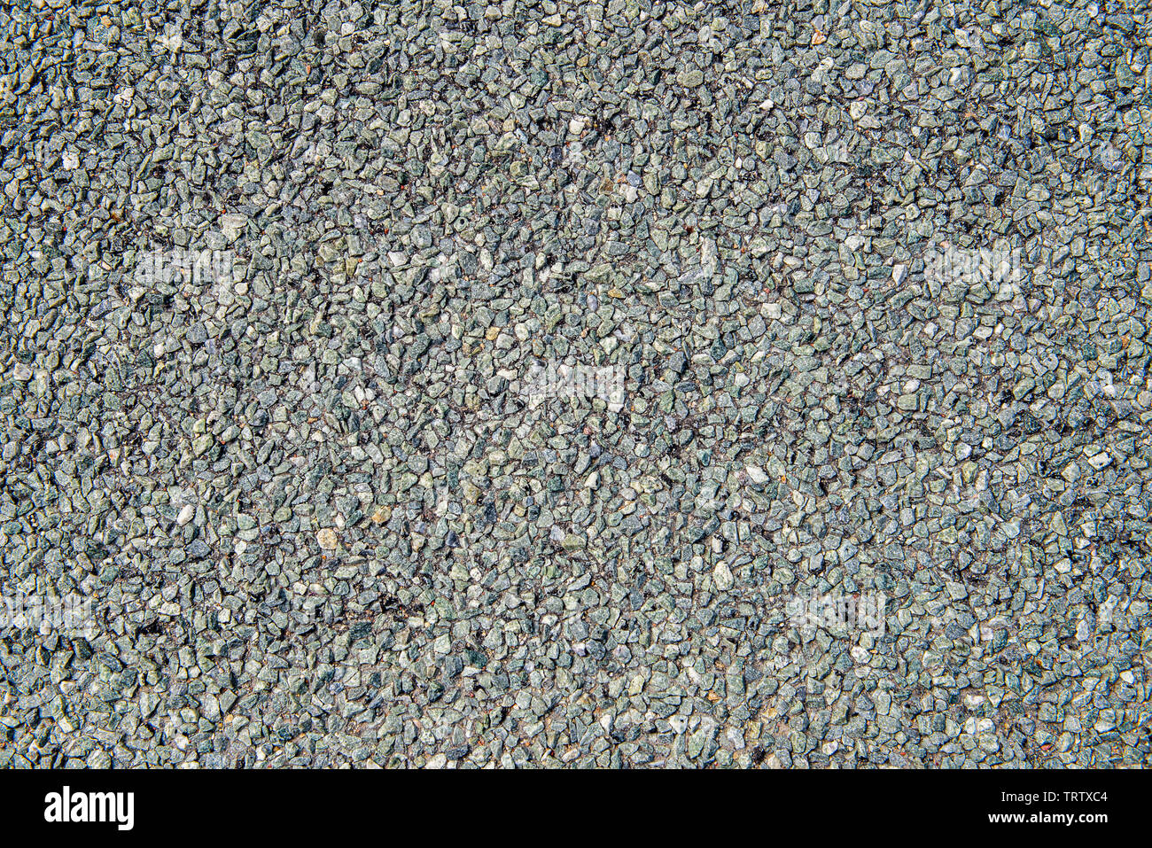 ground soil texture with tree roots and old vegetation leftovers ...