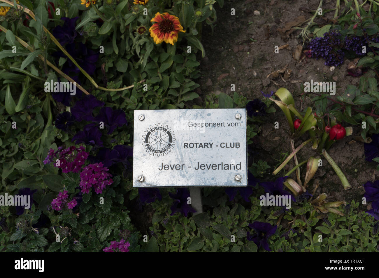 Jerver hi-res stock photography and images - Alamy