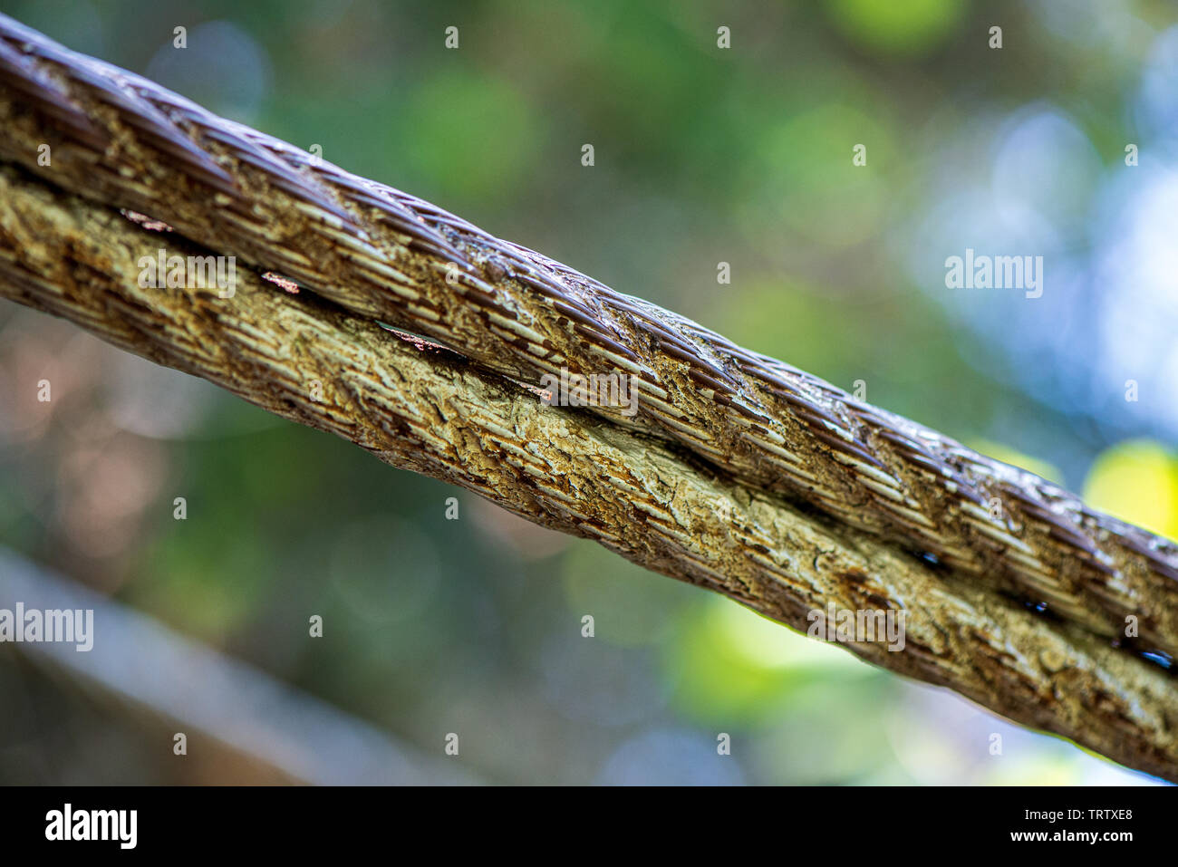 metal chain and wire rope holding bridge in place. steel construction ...