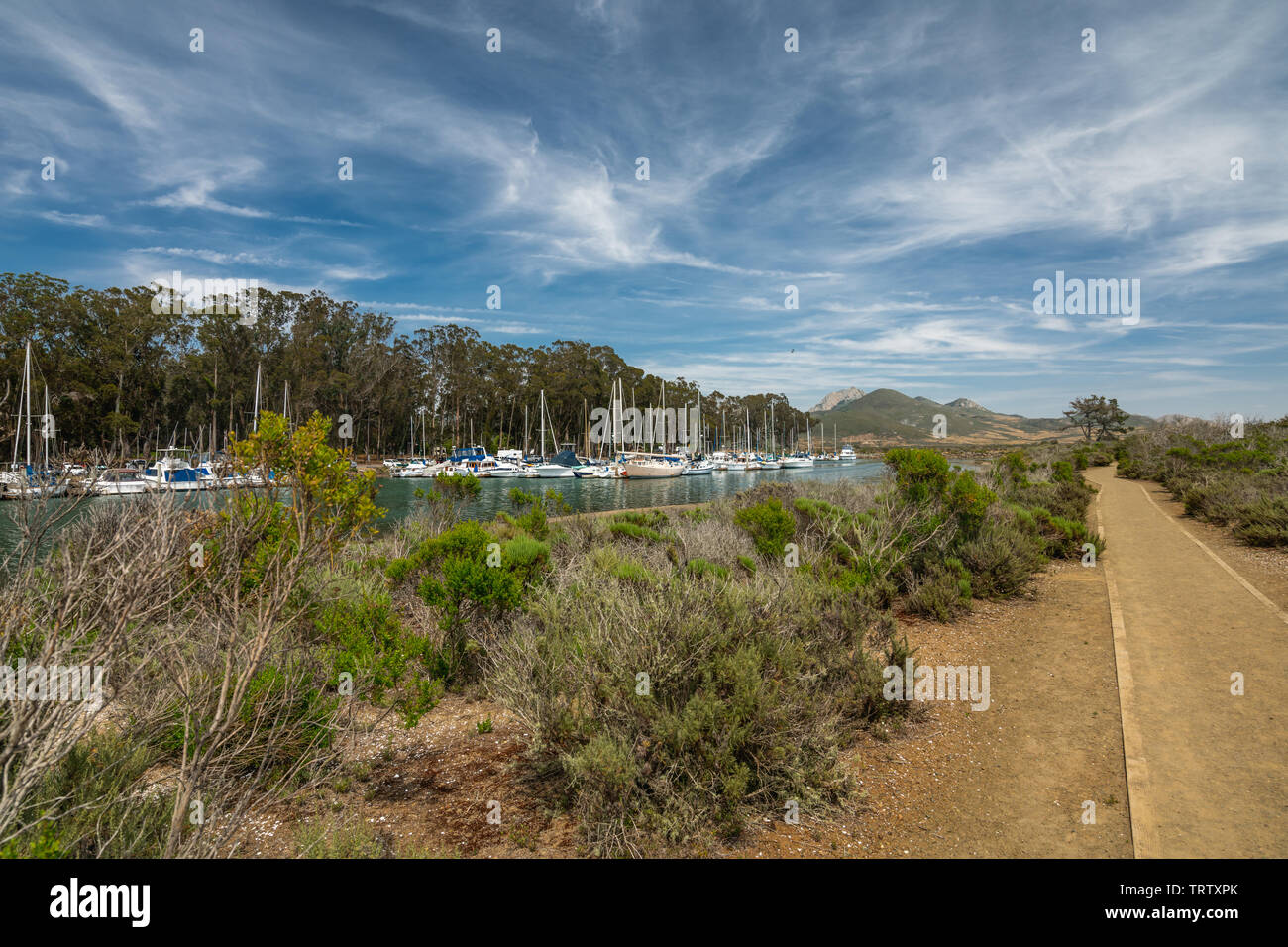 Marina Point Loop Trail Goes Through the Estuary and an Elfin Forest ...