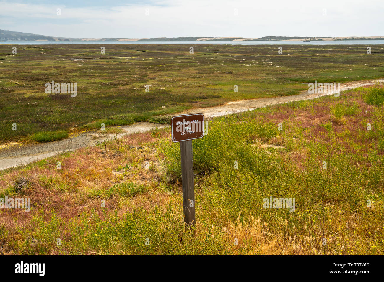 Morro Bay State Park, California. The Marina Peninsula Trail, Fragile ...