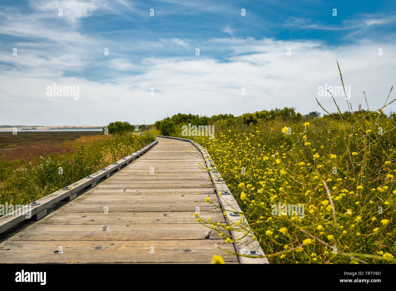 Fragile area hi-res stock photography and images - Alamy