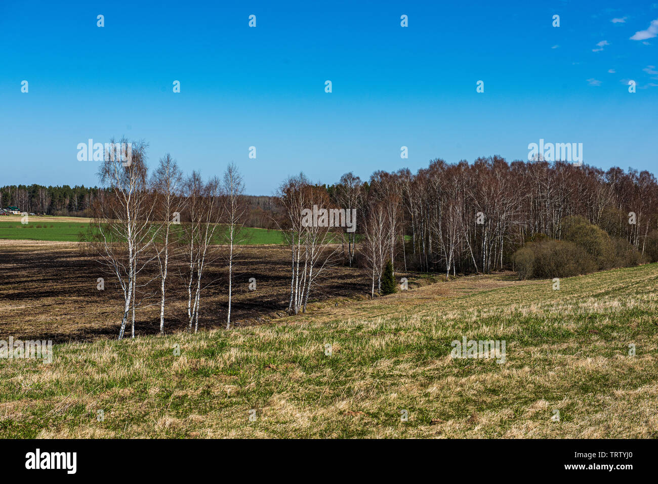 empty countryside life landscape in late autumn. wet day Stock Photo ...
