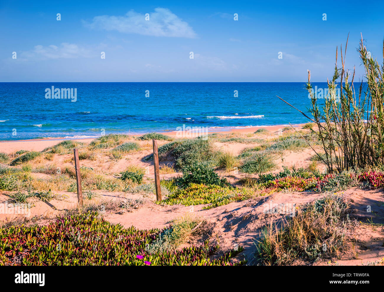 Greenergreenery hi-res stock photography and images - Alamy