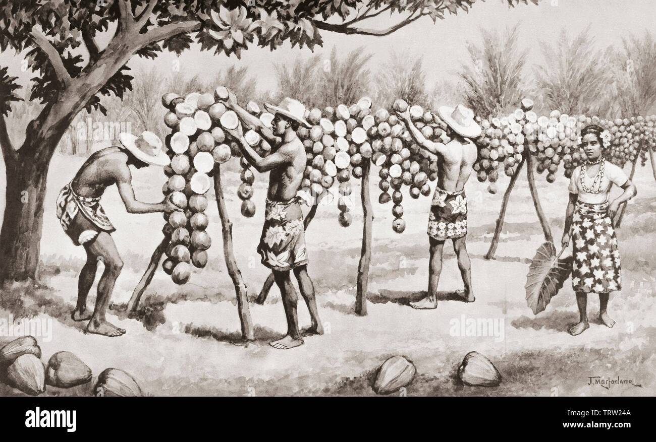 Drying copra hi-res stock photography and images - Alamy