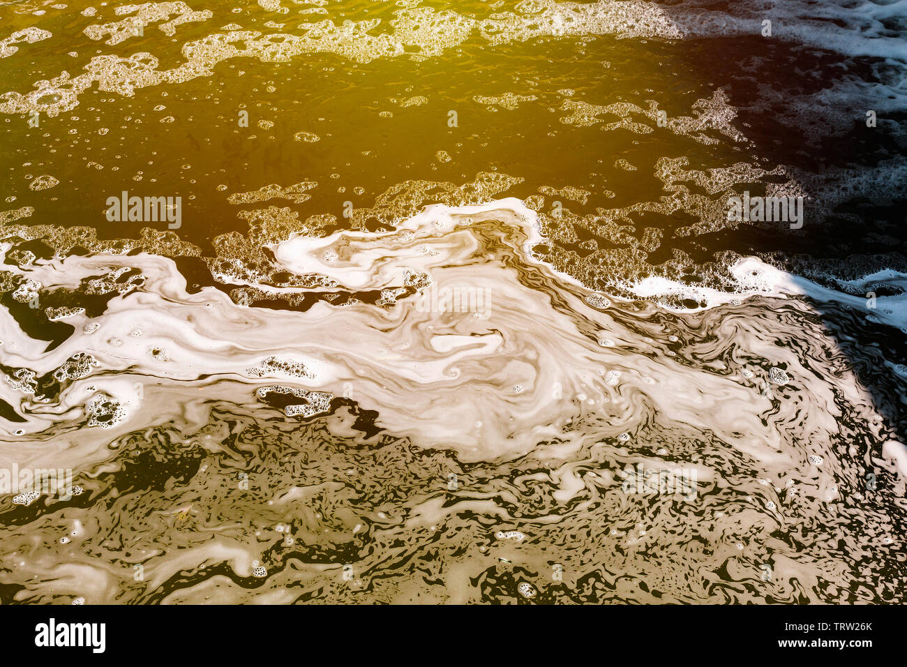 Water contaminated contamination hi-res stock photography and images ...