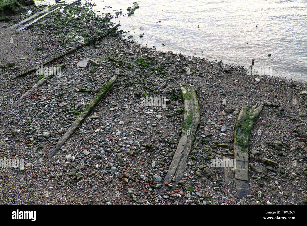 Historic ship timbers on the foreshore of the River Thames at low tide ...