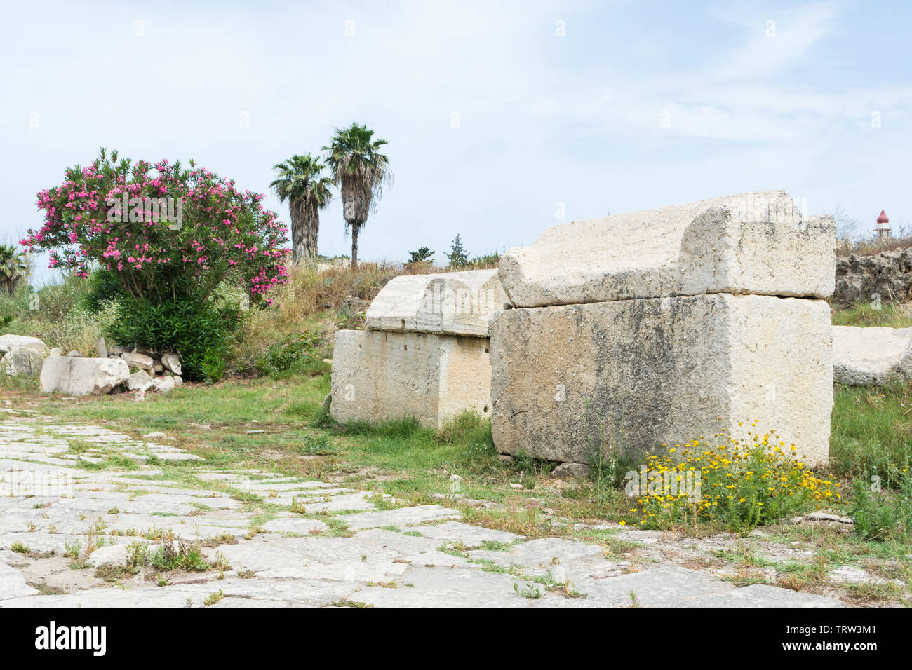 Tomb Of Tyre High Resolution Stock Photography and Images - Alamy