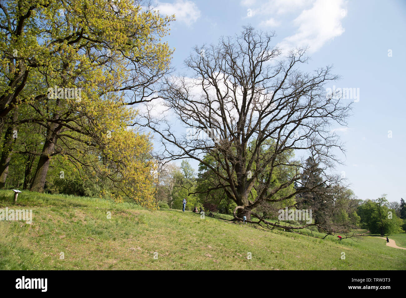 Park of Goluchow Castle built 1550 to 1560 in Goluchow, Poland. May 2nd ...