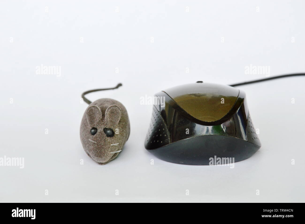 Rat and computer mouse hi-res stock photography and images - Alamy