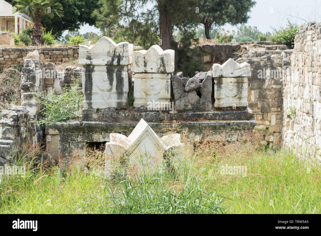 Al bass tyre necropolis hi-res stock photography and images - Alamy