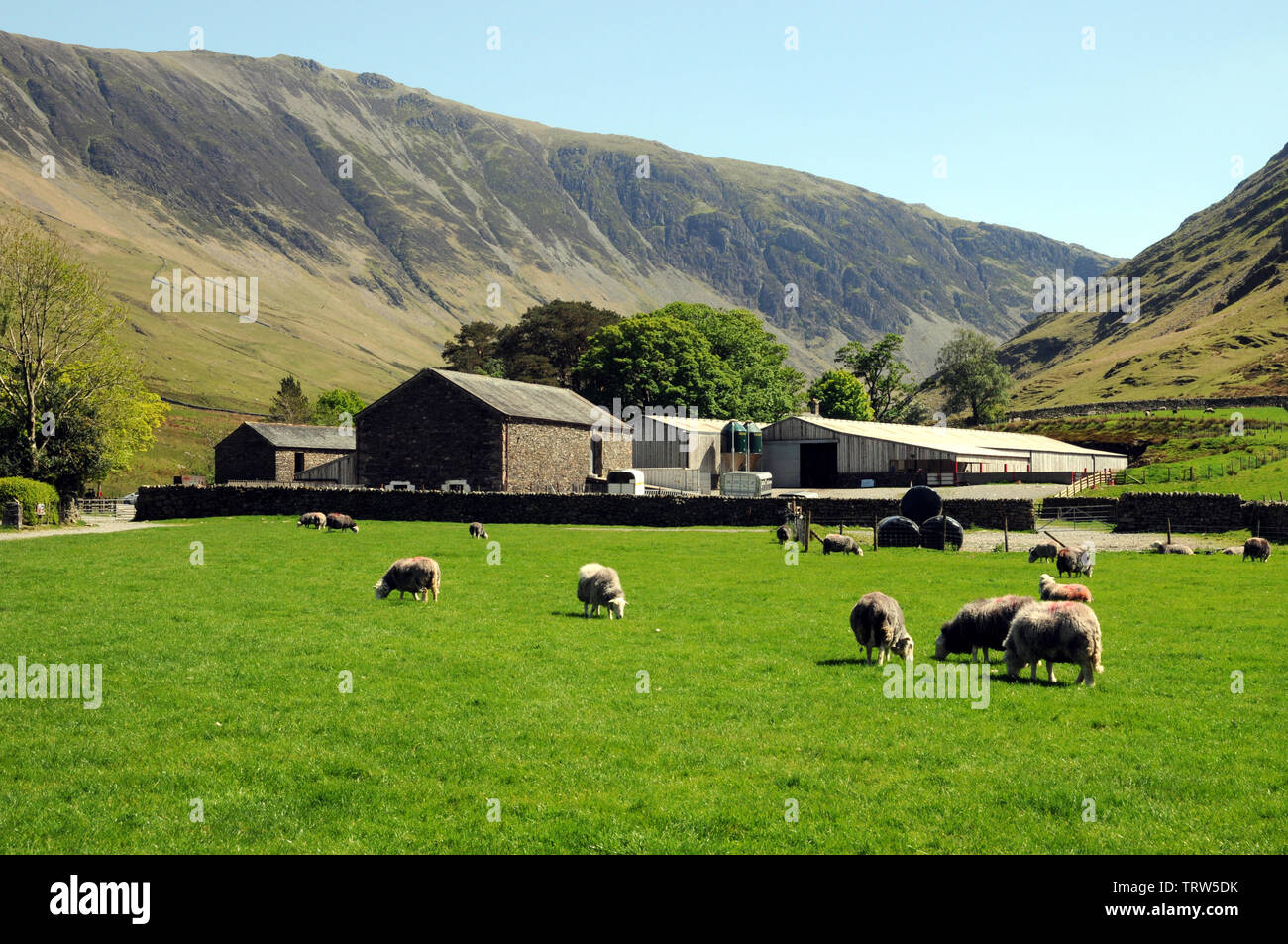 Gatesgarth Farm at the south eastern end of Buttermere in the English ...