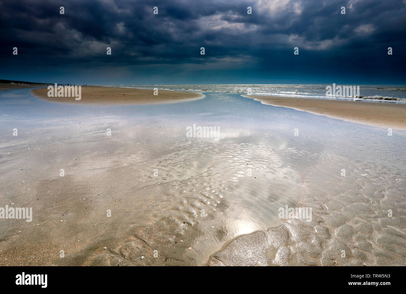 low tide on North sea beach at storm, Holland Stock Photo - Alamy