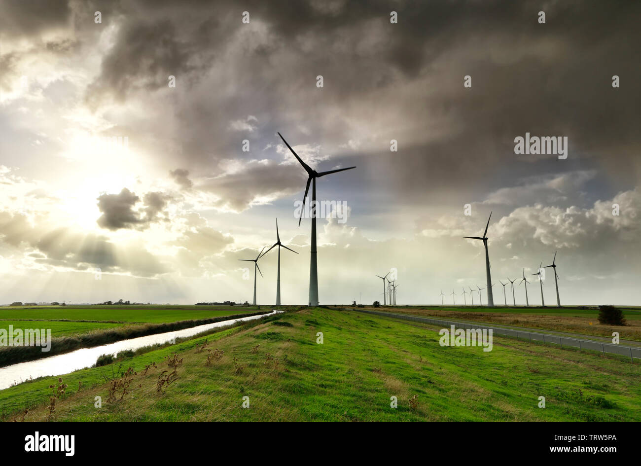 wind turbines and rainy sky in dutch farmland in summer Stock Photo - Alamy