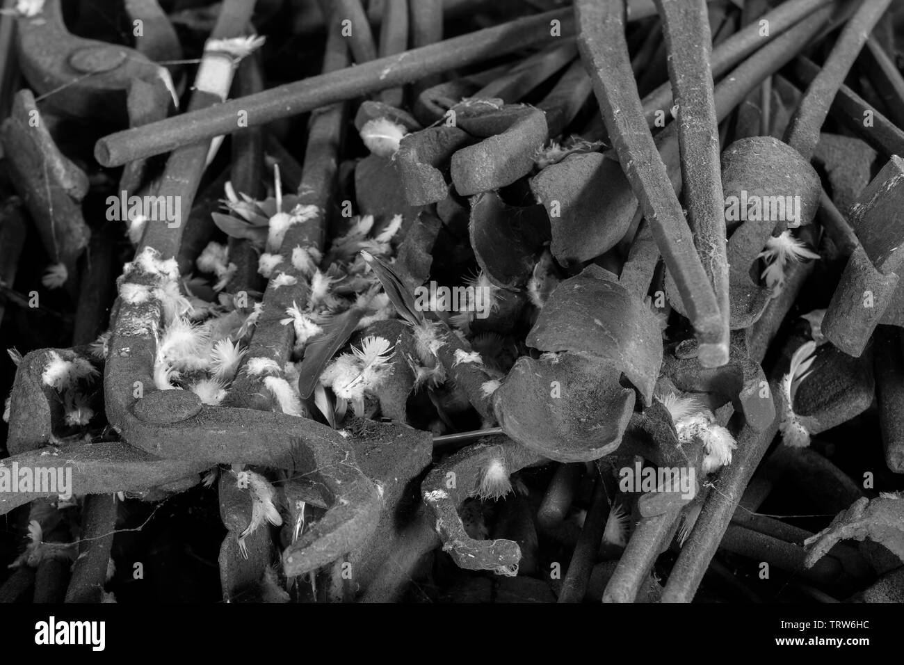 Tools handcraft Black and White Stock Photos & Images - Alamy