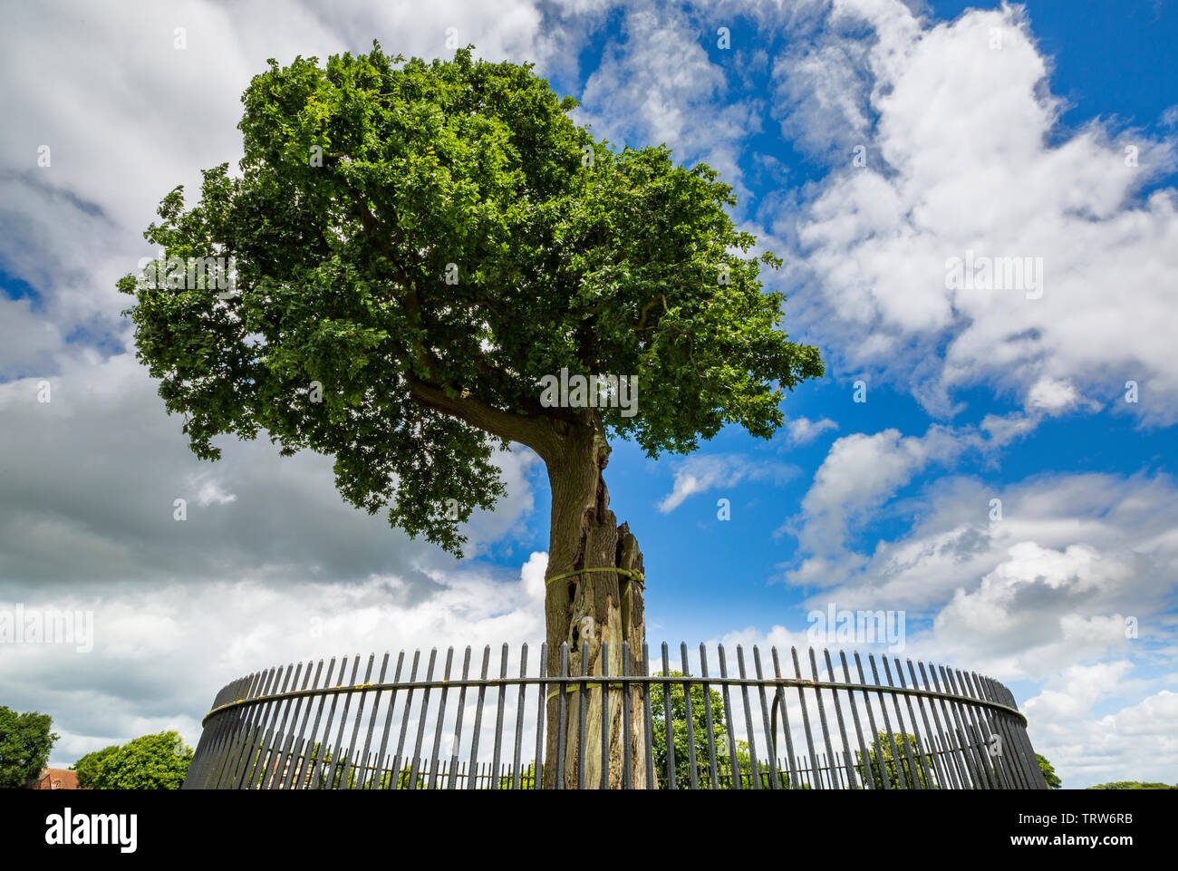 Charles ii royal oak hi-res stock photography and images - Alamy