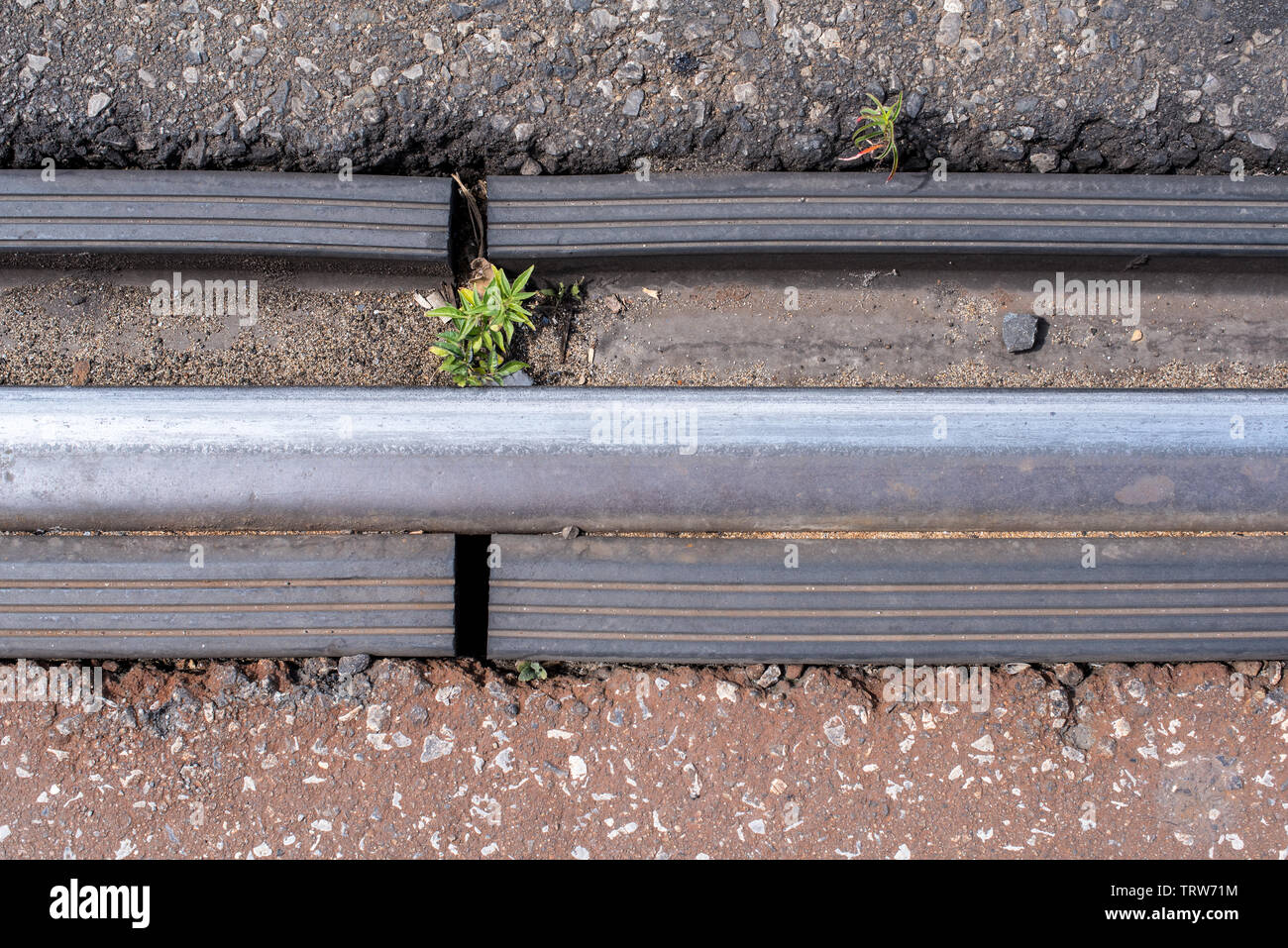 Train Tracks Rubber Seal and Weeds Growing Stock Photo - Alamy