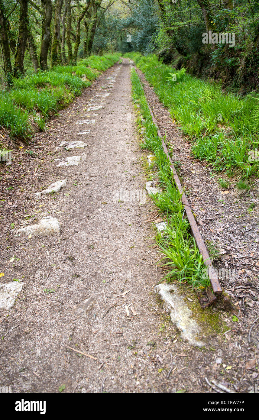 Path through the Luxulyan Valley in Cornwall, England, UK, which ...