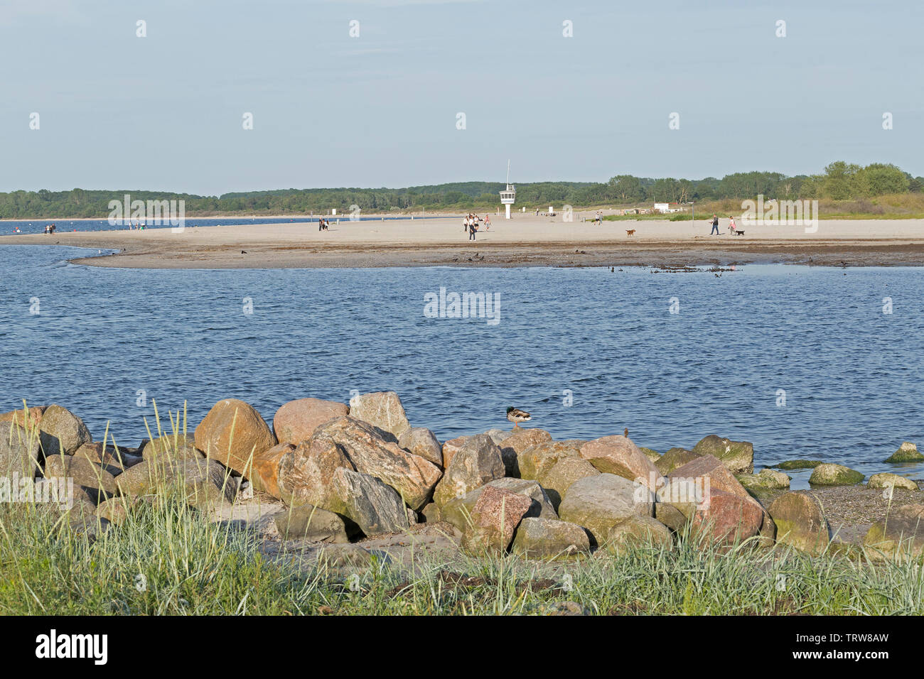 Priwall hi-res stock photography and images - Alamy