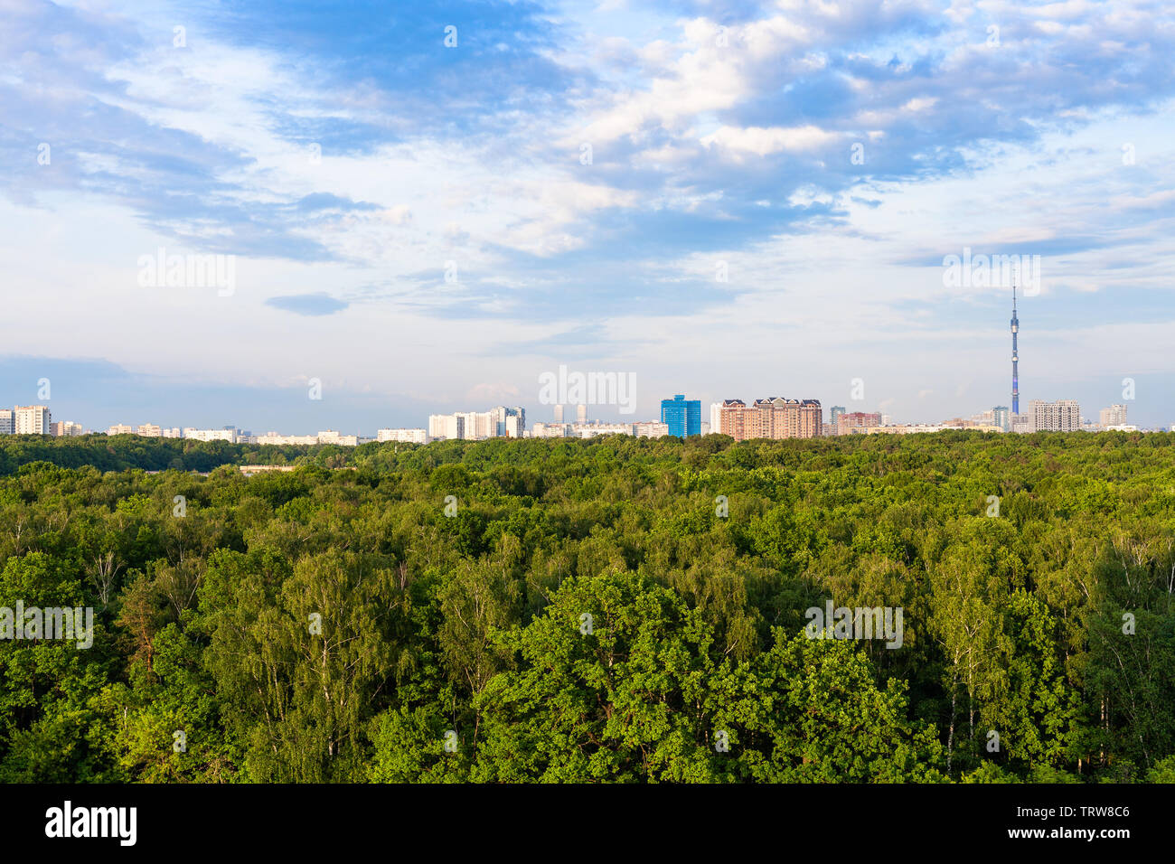 above view of green forest and urban houses illuminated by summer ...