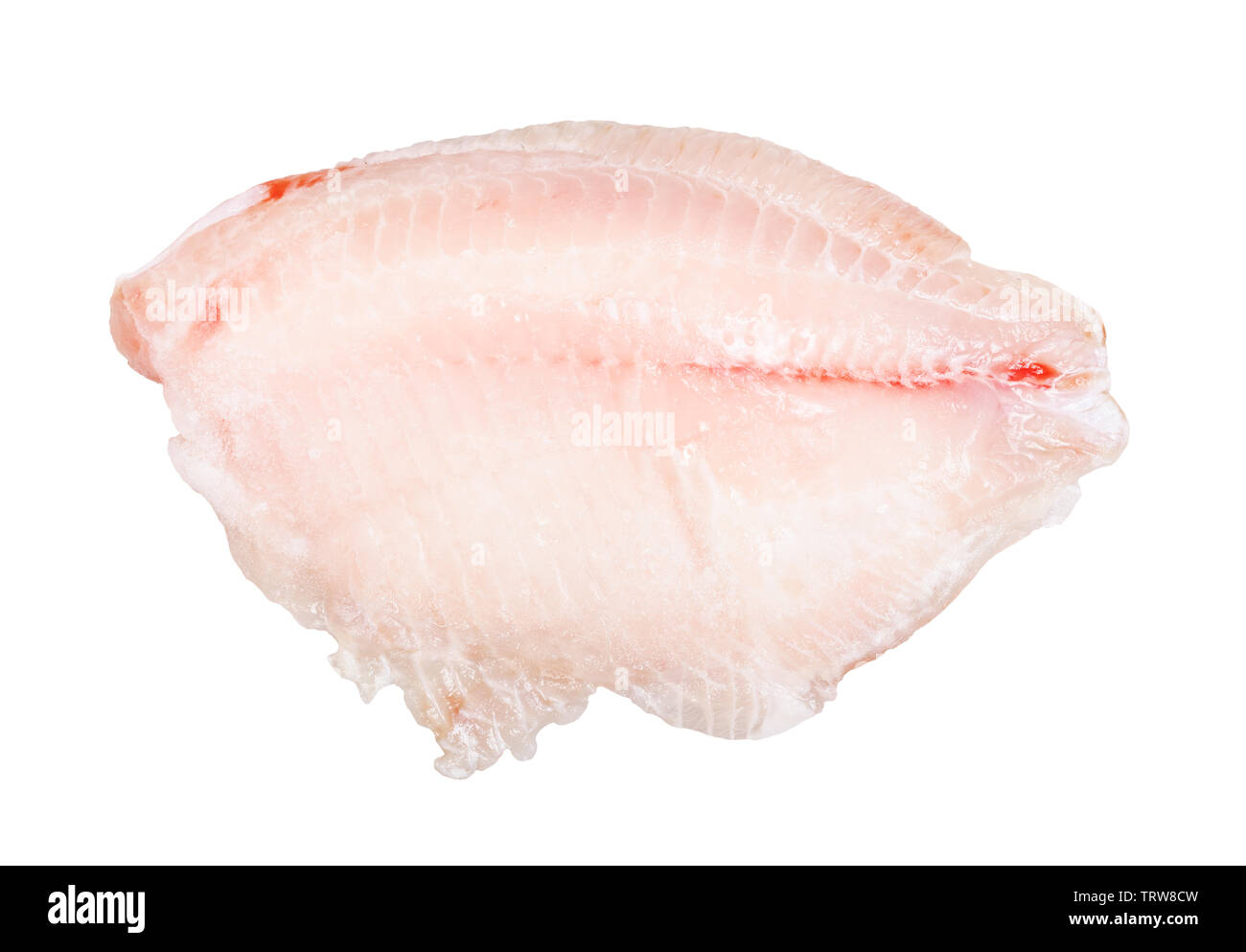 raw frozen deboned fillet of ocean perch fish isolated on white ...