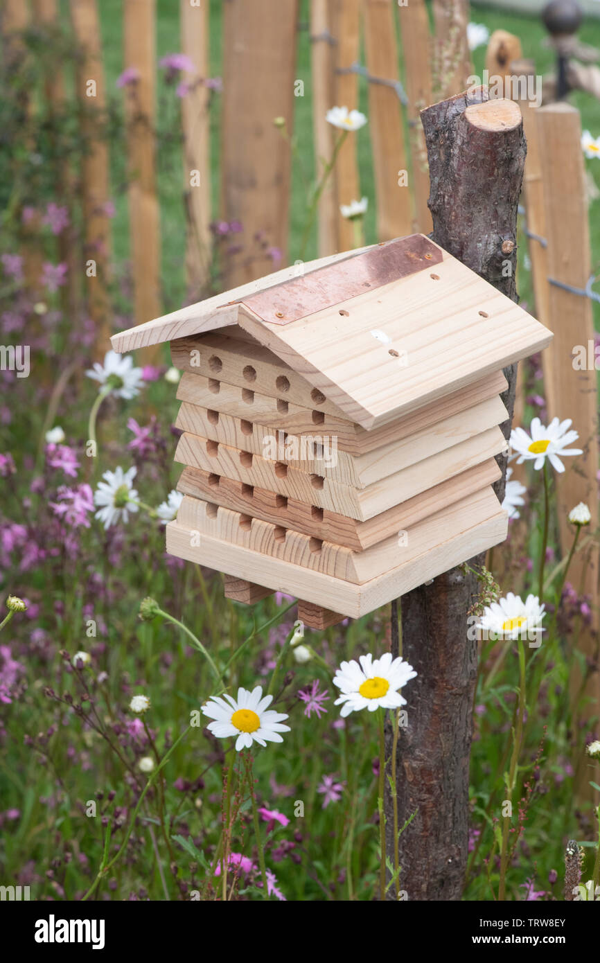 Insect box hi-res stock photography and images - Alamy