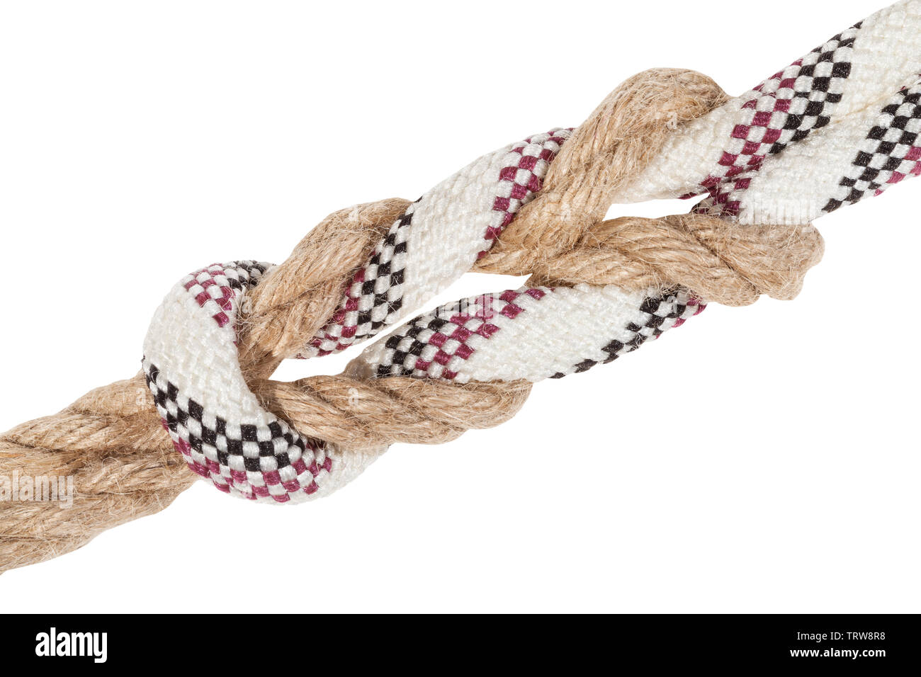 academic surgeon's knot, double reef knot joining two ropes close up ...