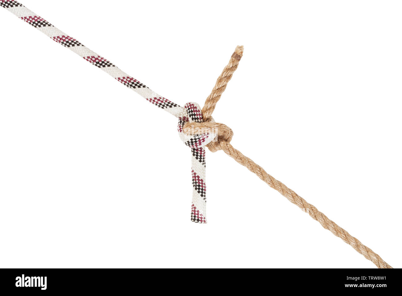 another side of rigger's bend knot joining two ropes isolated on white ...