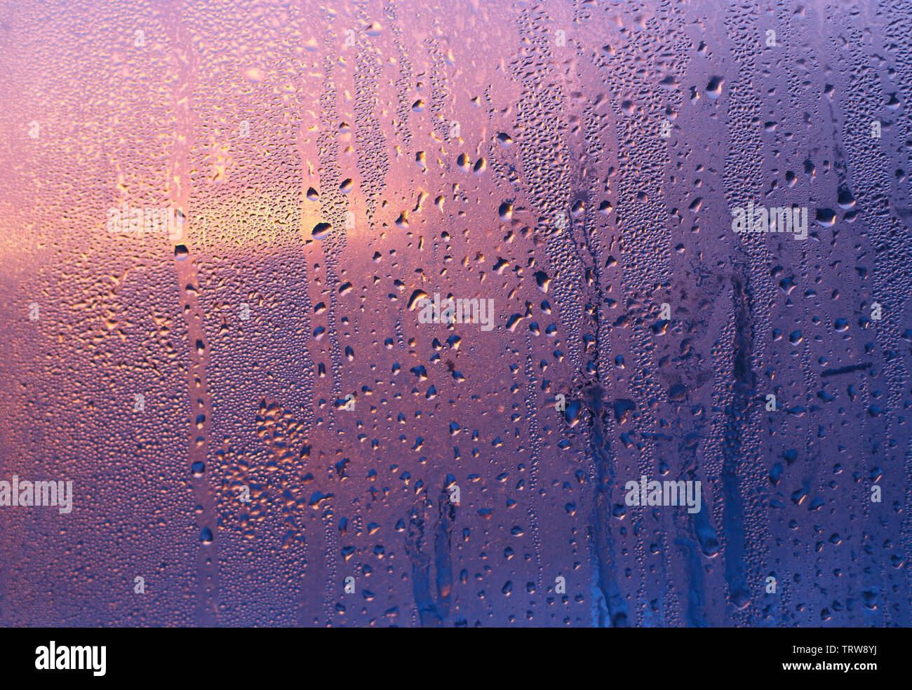 Natural water drops and sunlight on glass Stock Photo - Alamy