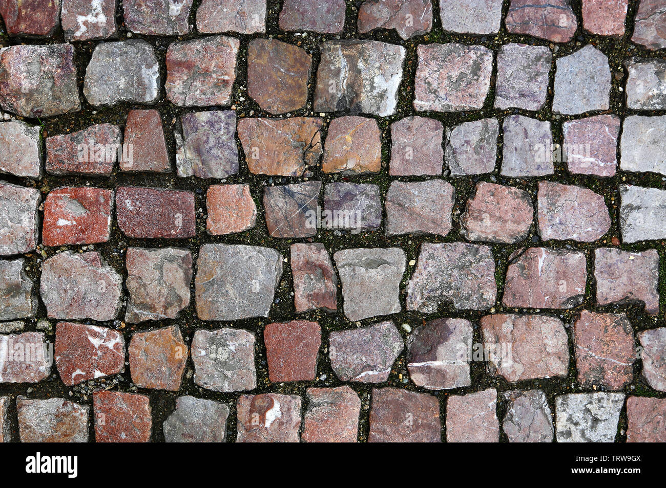 Paving stones street texture Stock Photo - Alamy