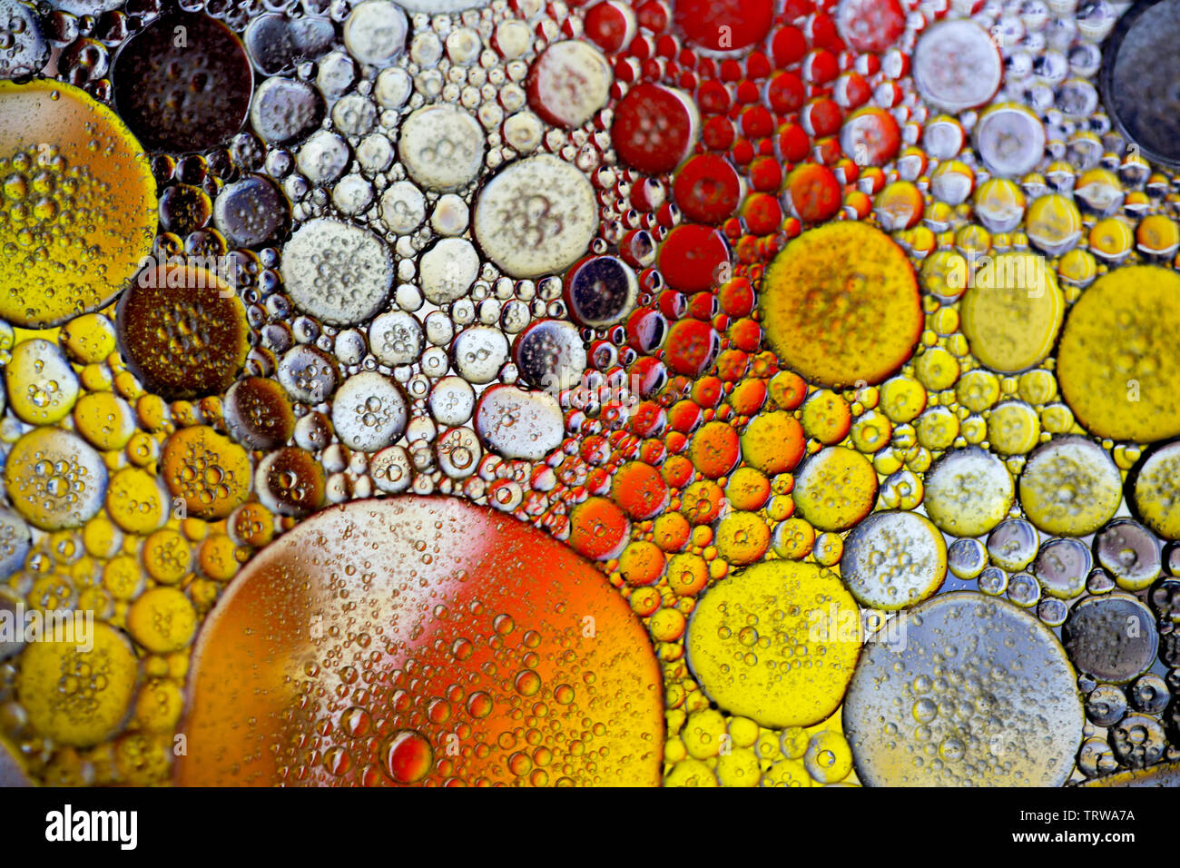 abstract colorful organic bubbles macro pattern texture Stock Photo - Alamy