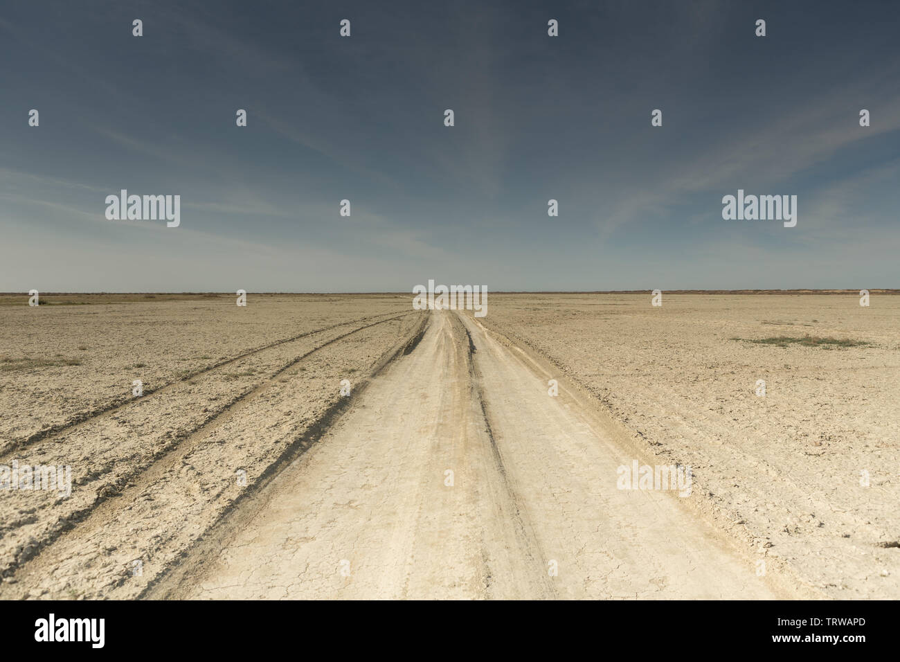 Consequences of the Aral sea disaster. Sandy salt desert on the site of ...