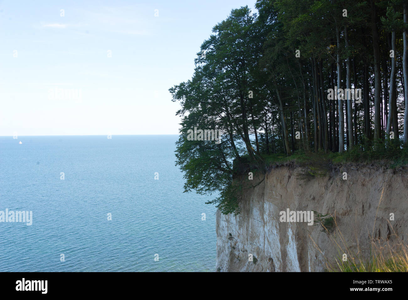 chalk cliffs of ruegen, germany Stock Photo - Alamy
