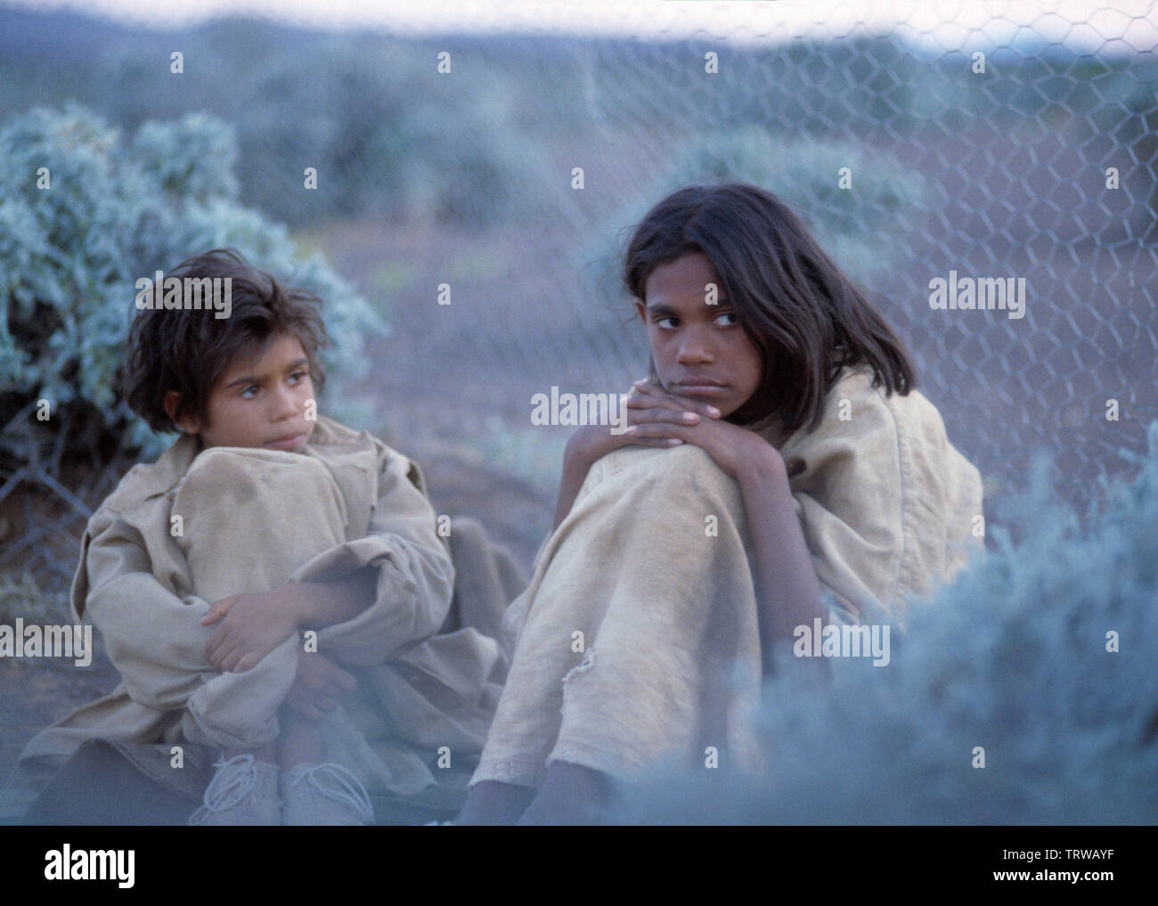 Rabbit proof fence australian film hi-res stock photography and images ...