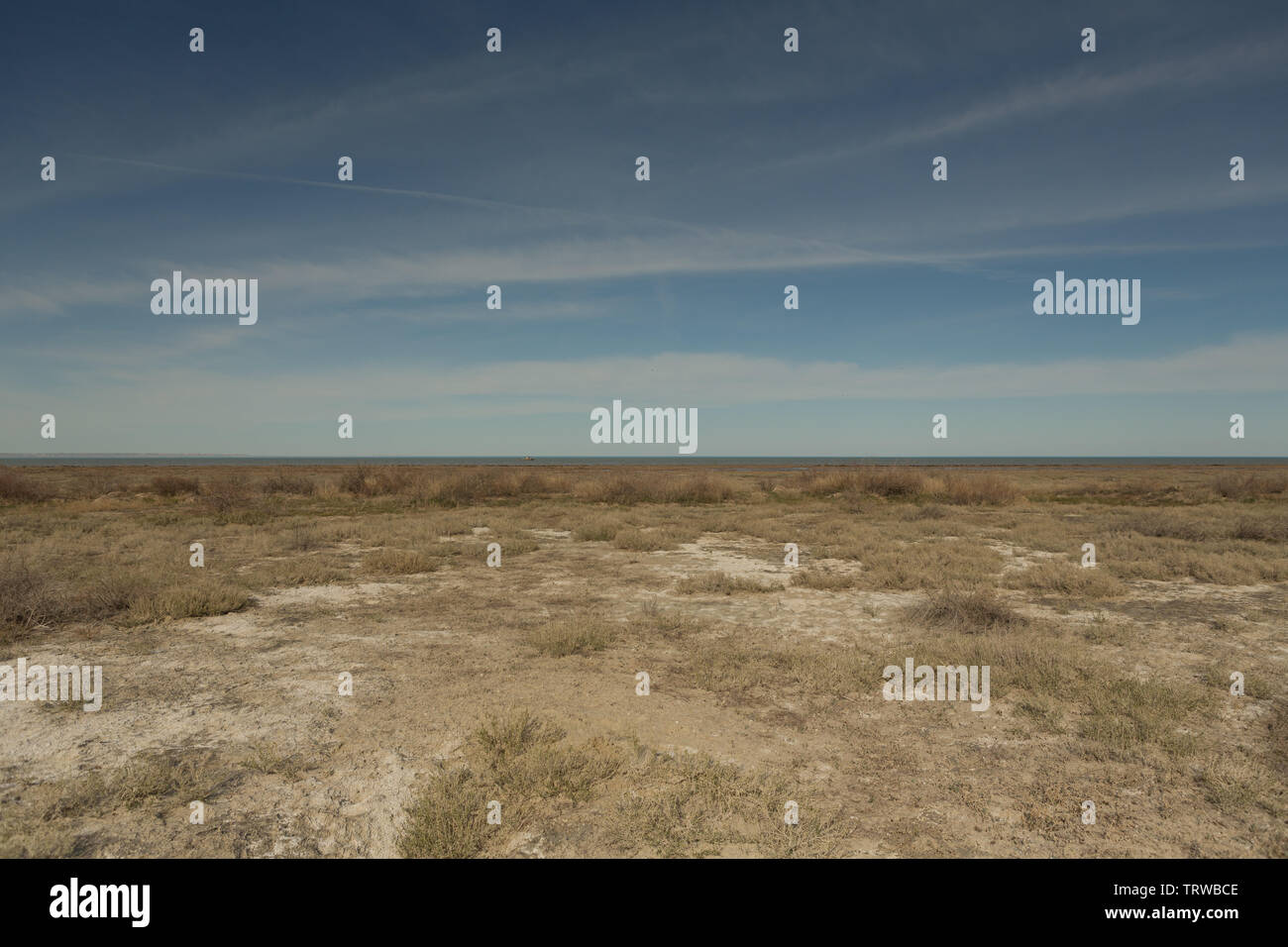 Consequences of the Aral sea disaster. Sandy salt desert on the site of ...