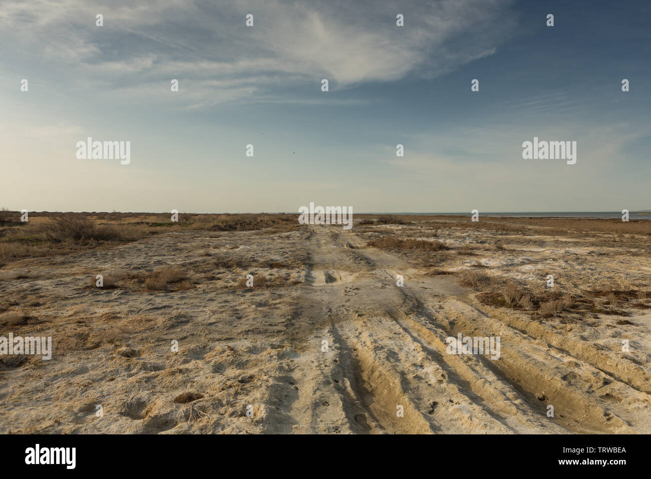 Consequences of the Aral sea disaster. Sandy salt desert on the site of ...