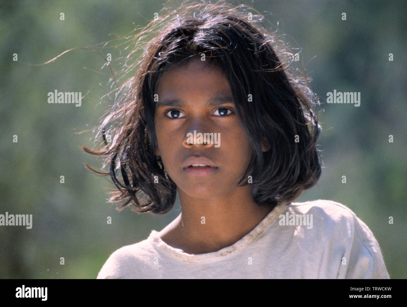 Rabbit proof fence australian film hi-res stock photography and images ...