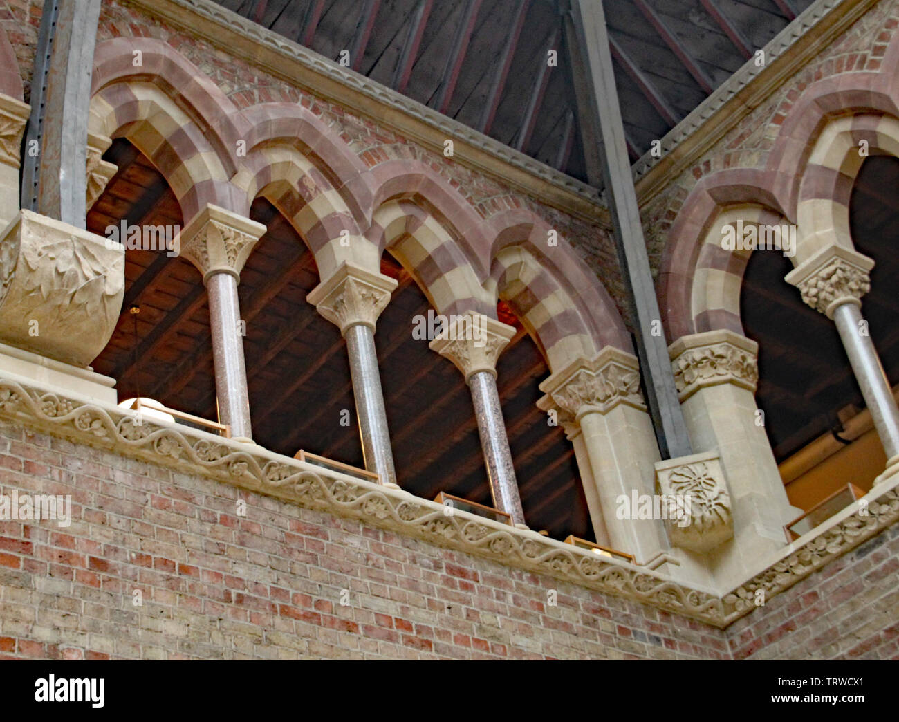 Oxford museum architecture roof hi-res stock photography and images - Alamy
