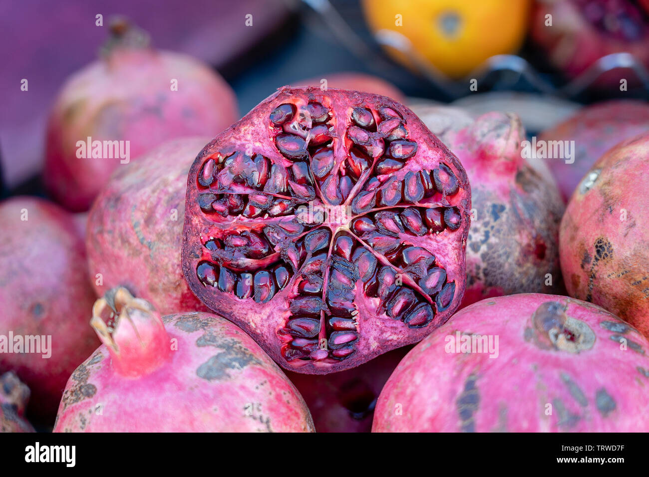 Georgia turkey hi-res stock photography and images - Alamy