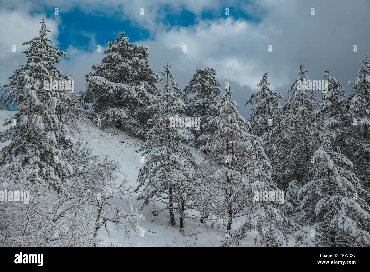 High mountains under snow in the winter. A series of photos of the ...