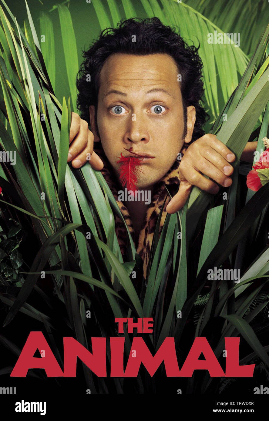 Animal Documentary Covers