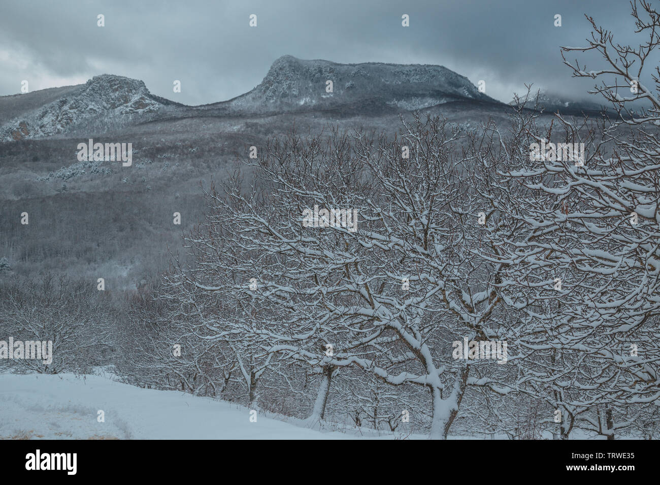 High mountains under snow in the winter. A series of photos of the ...