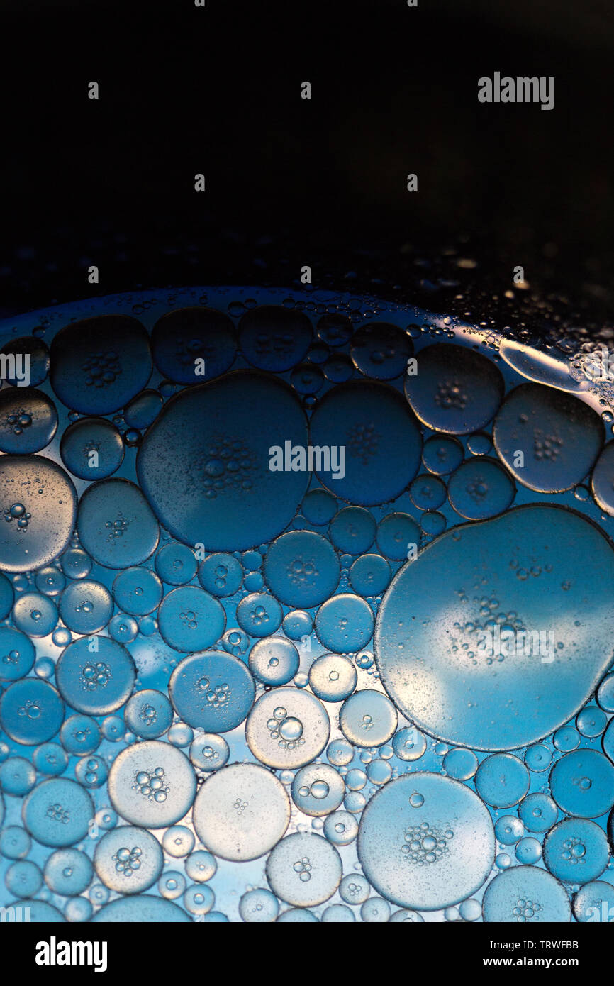 blue abstract colorful organic bubbles macro pattern texture Stock ...