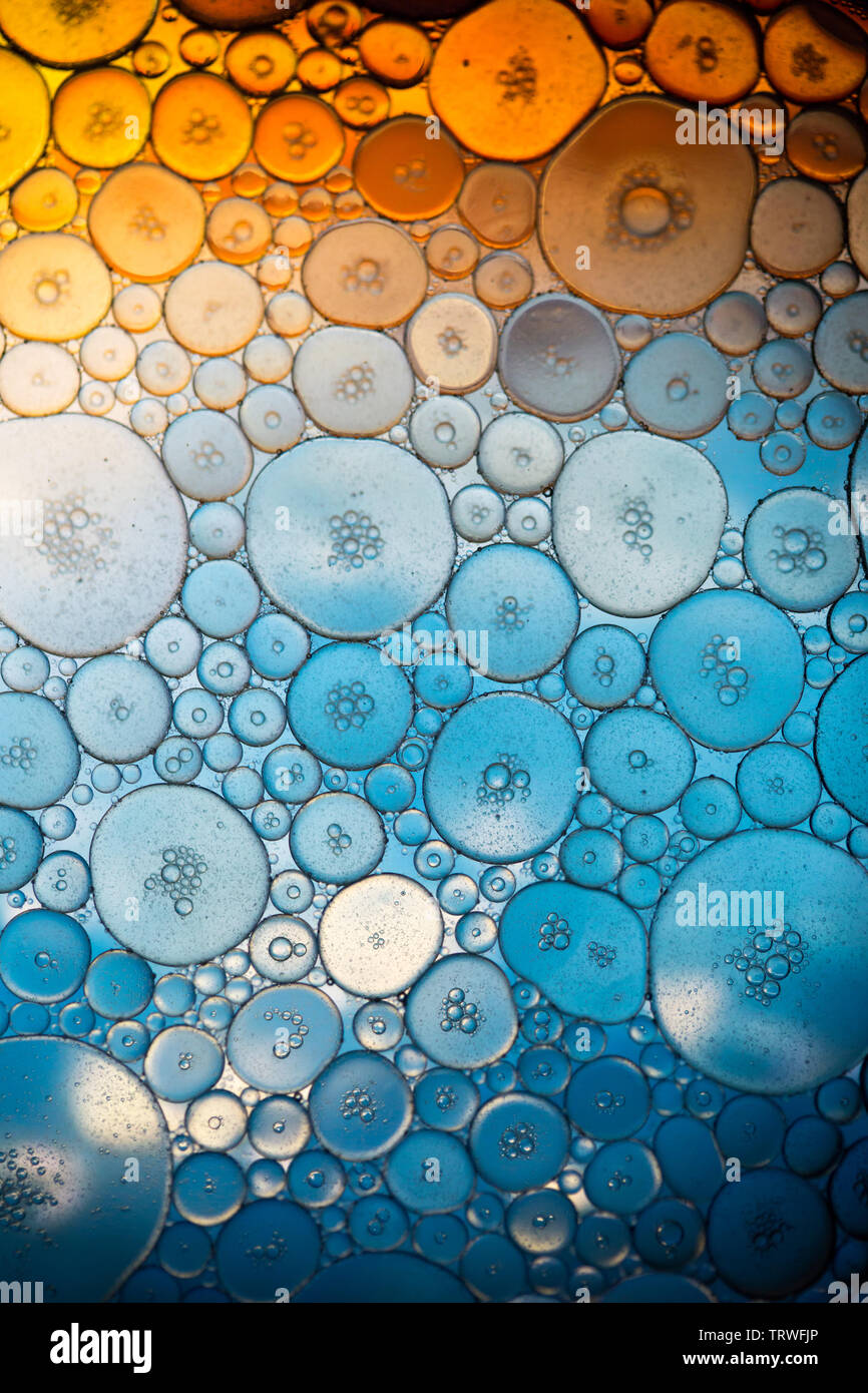 blue abstract colorful organic bubbles macro pattern texture Stock ...