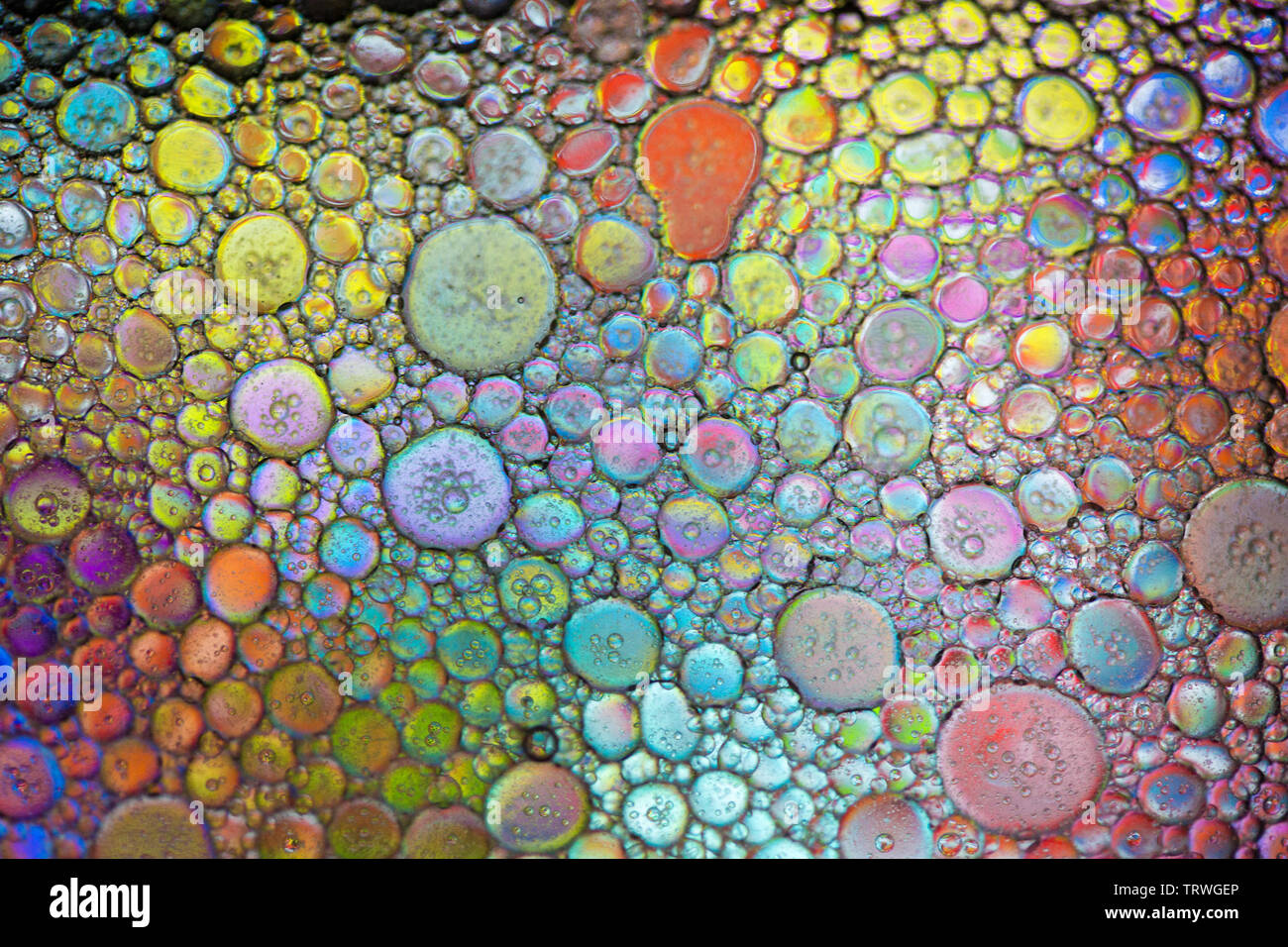 abstract colorful organic bubbles macro pattern texture Stock Photo - Alamy