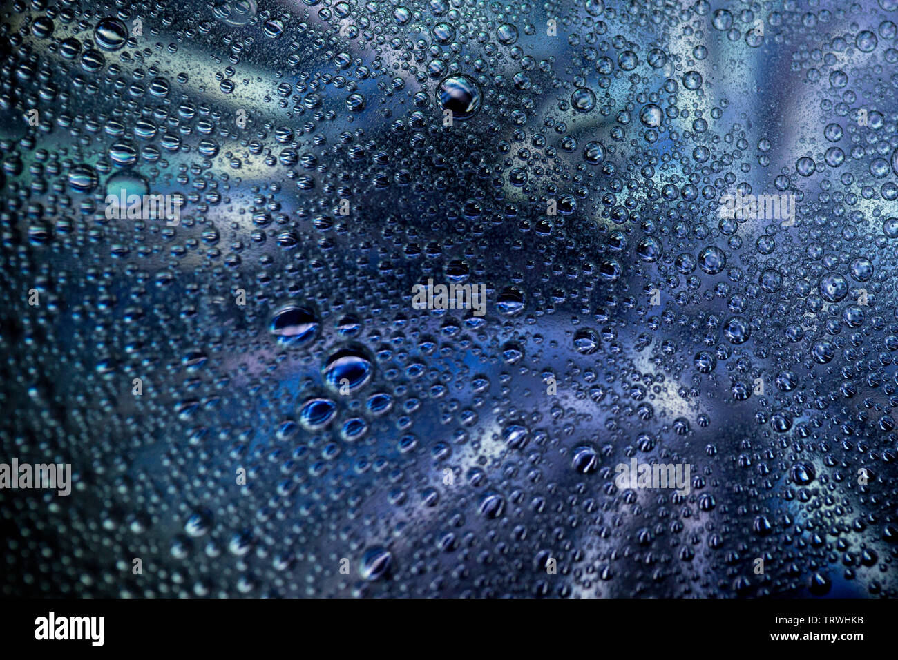 blue abstract colorful organic bubbles macro pattern texture Stock ...