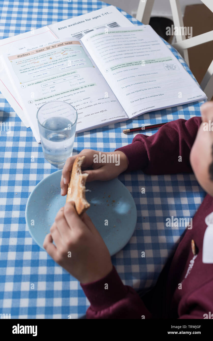 UK, Surrey- primary schoolboy eatinng a toasted sandwich and working on ...