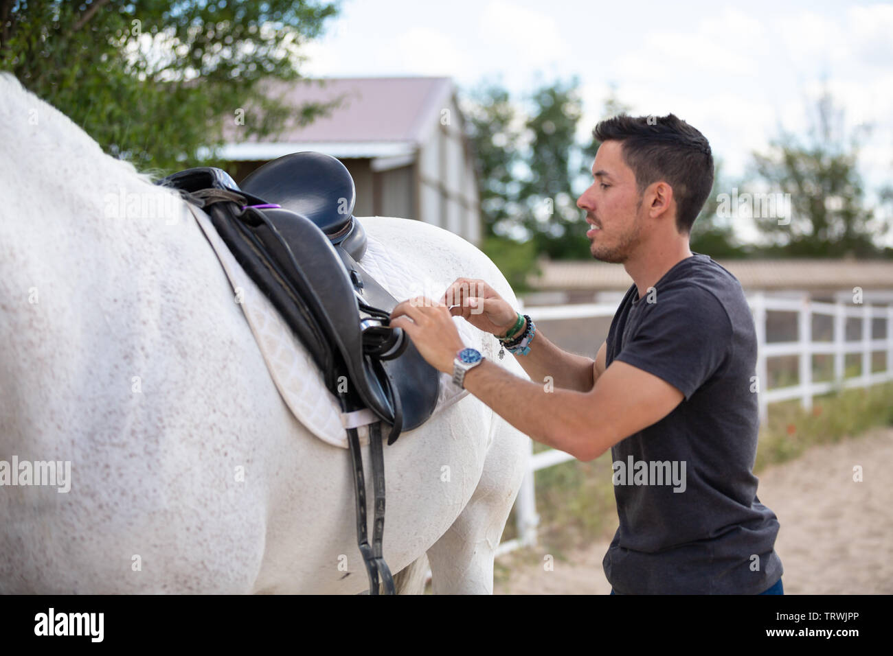 Side view of young guy putting black saddle on back of white horse ...